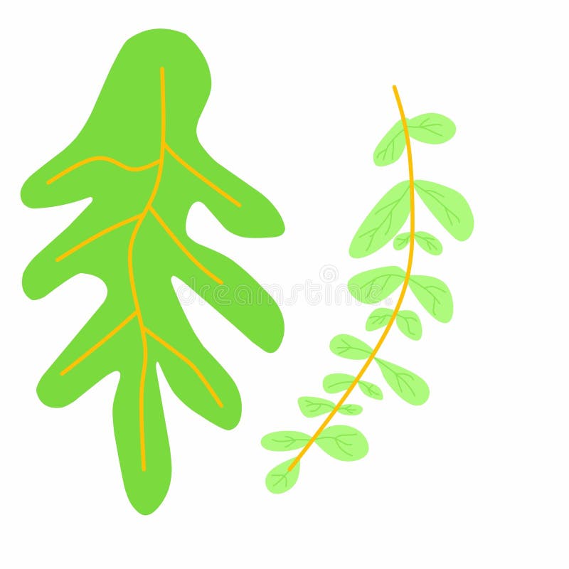 Flat Design, Cut Green Leaf with Twigs, . Stock Vector - Illustration ...