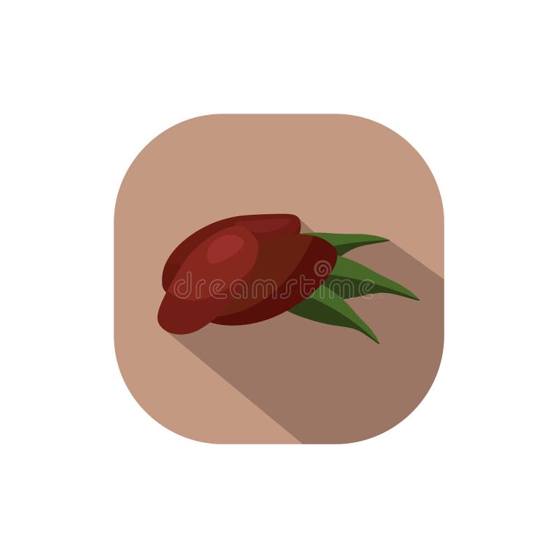 Dates Fruit Vector Stock Illustrations – 3,063 Dates Fruit Vector Stock ...