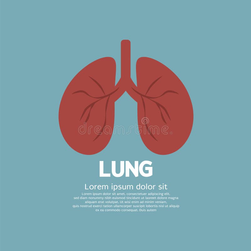 Flat Design Medical icons stock vector. Illustration of shadow - 40539447