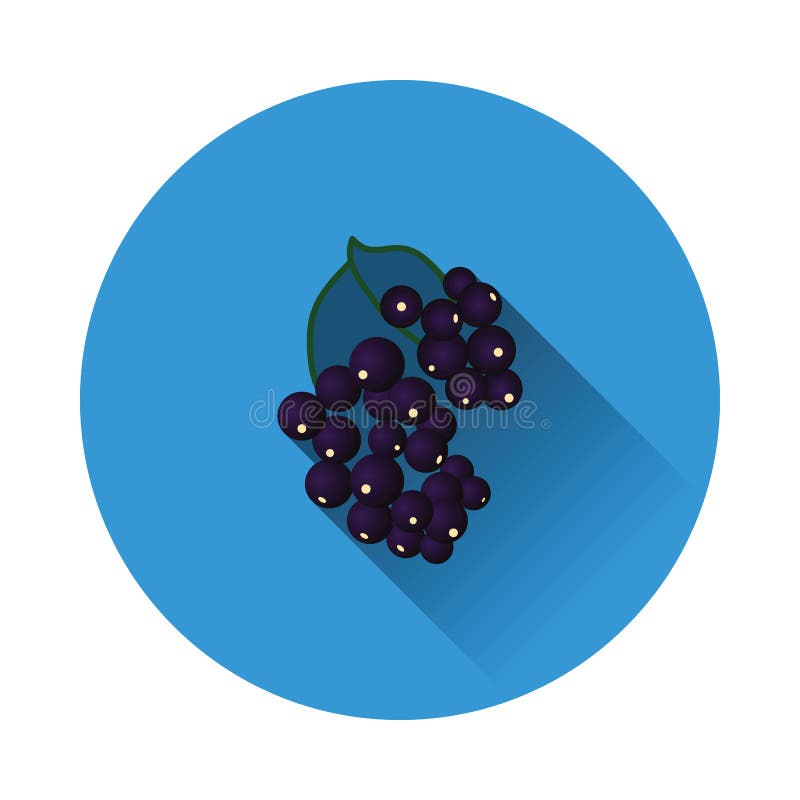 Flat Design Icon of Black Currant Stock Vector - Illustration of ...