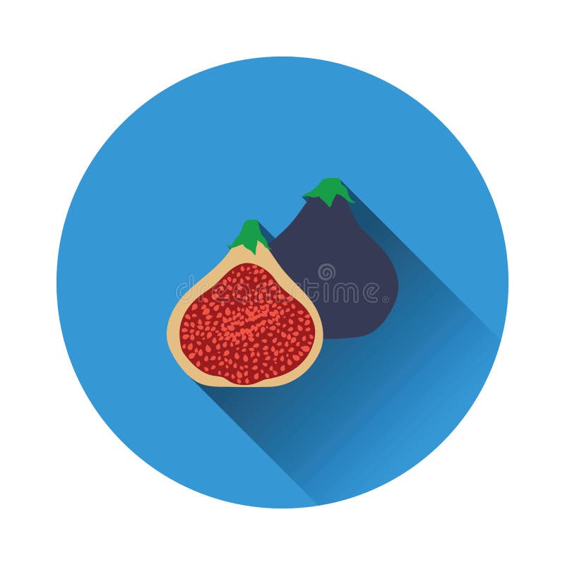 Flat Design Icon of Fig Fruit Stock Vector - Illustration of common ...