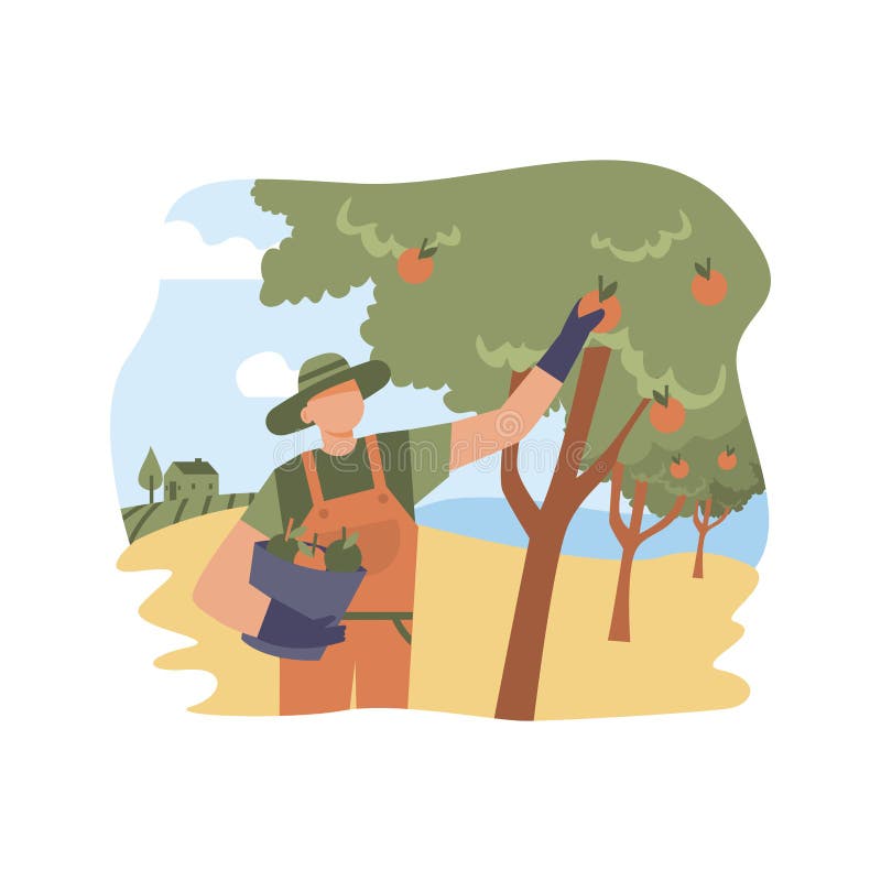 Flat Farmer in Garden Illustration Stock Illustration - Illustration of ... Flat Farmer in Garden Illustration Stock Illustration - Illustration of ...