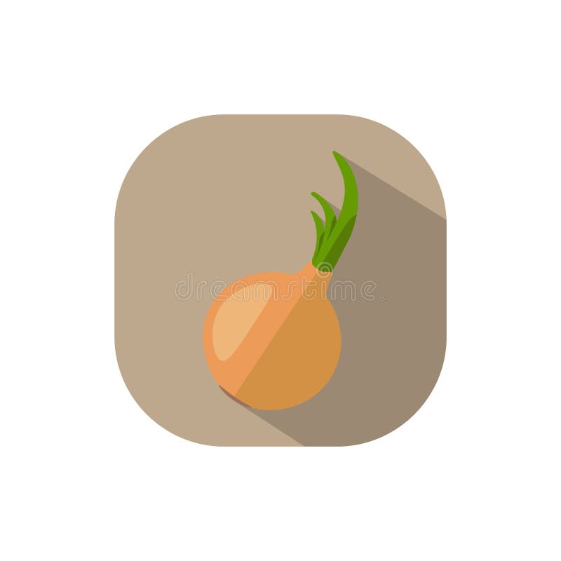 Design of onion draw stock illustration. Illustration of plant - 290281373