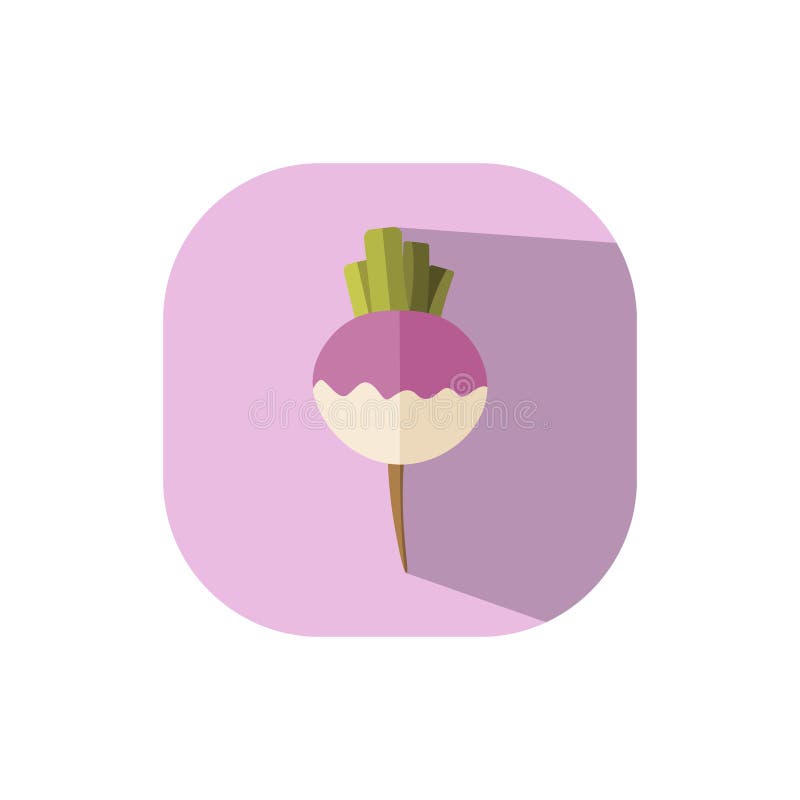 Flat design pink radish stock vector. Illustration of cartoon - 193052824