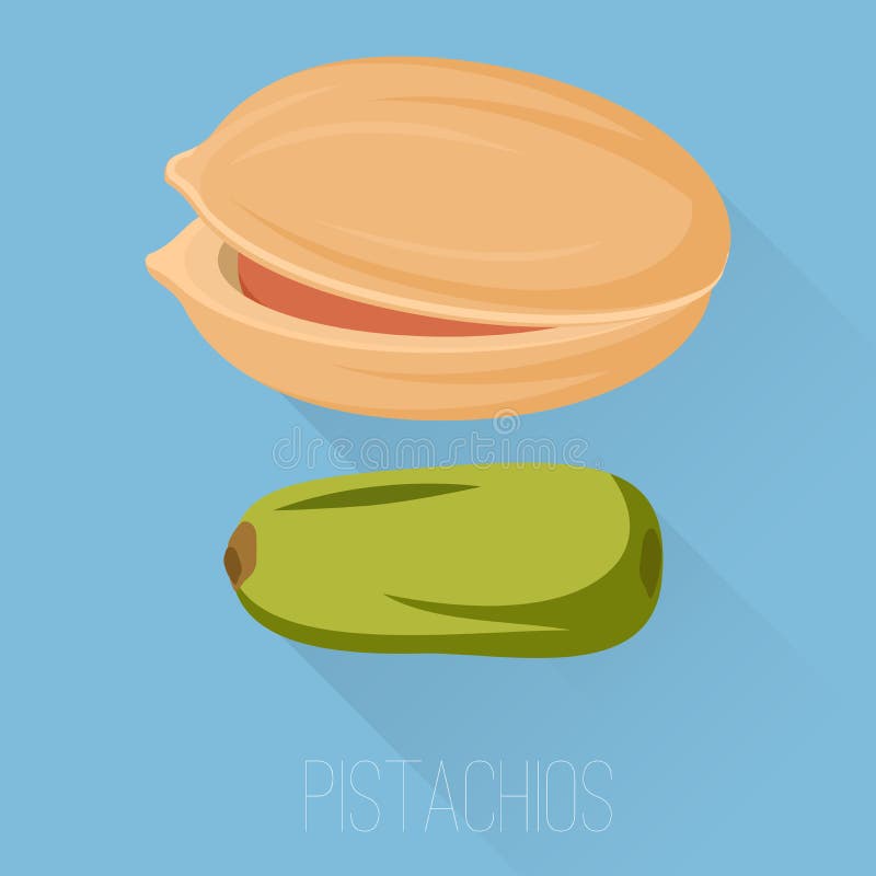 Pistachios vector icon stock vector. Illustration of nature - 117090886