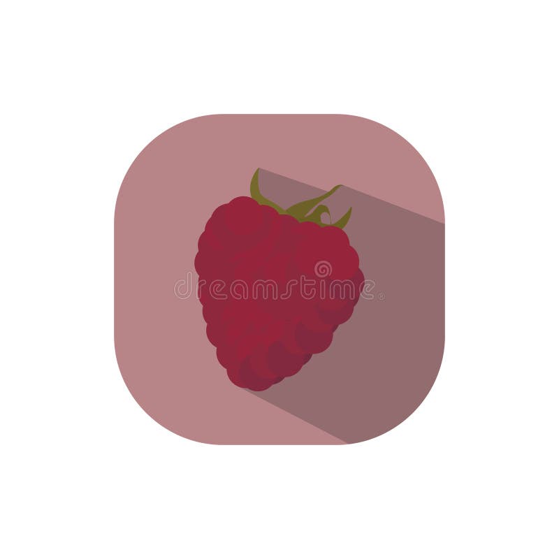 Flat design raspberry stock vector. Illustration of aroma - 193097982