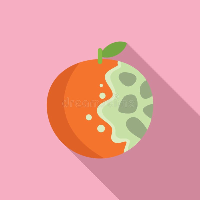 Bitten Orange Vector Illustration on Pink Background Stock Vector ...