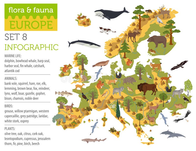 North America Flora and Fauna Map, Flat Elements. Animals, Birds Stock ... North America Flora and Fauna Map, Flat Elements. Animals, Birds Stock ...