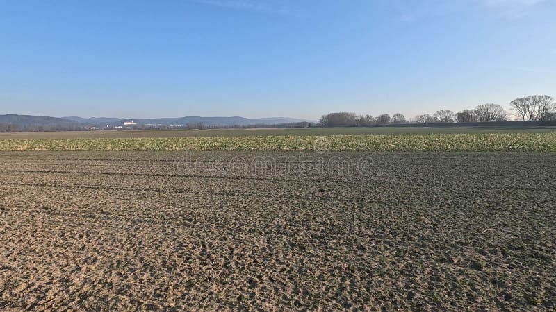 Flat Field with Some Trees from a Car Stock Video - Video of harvested ...