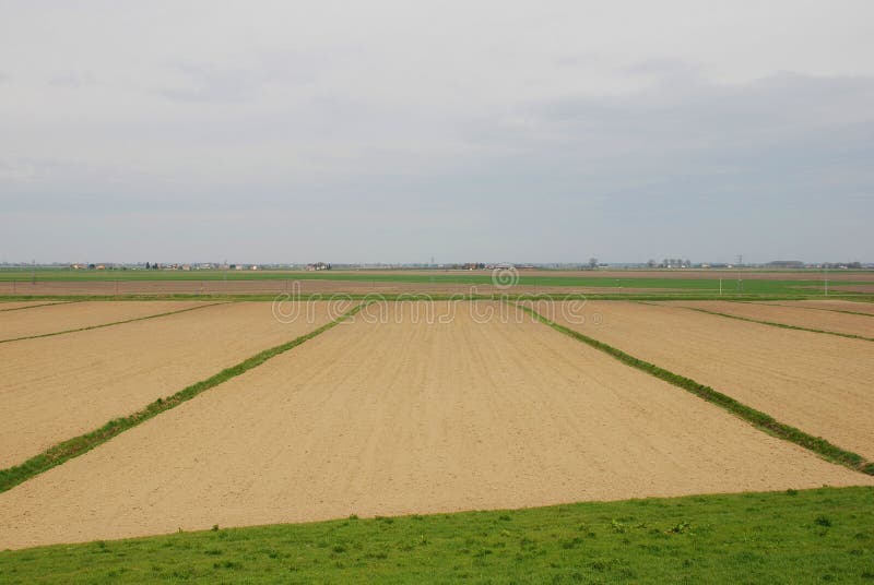 Flat Fields in Veneto stock image. Image of level, empty - 183553723