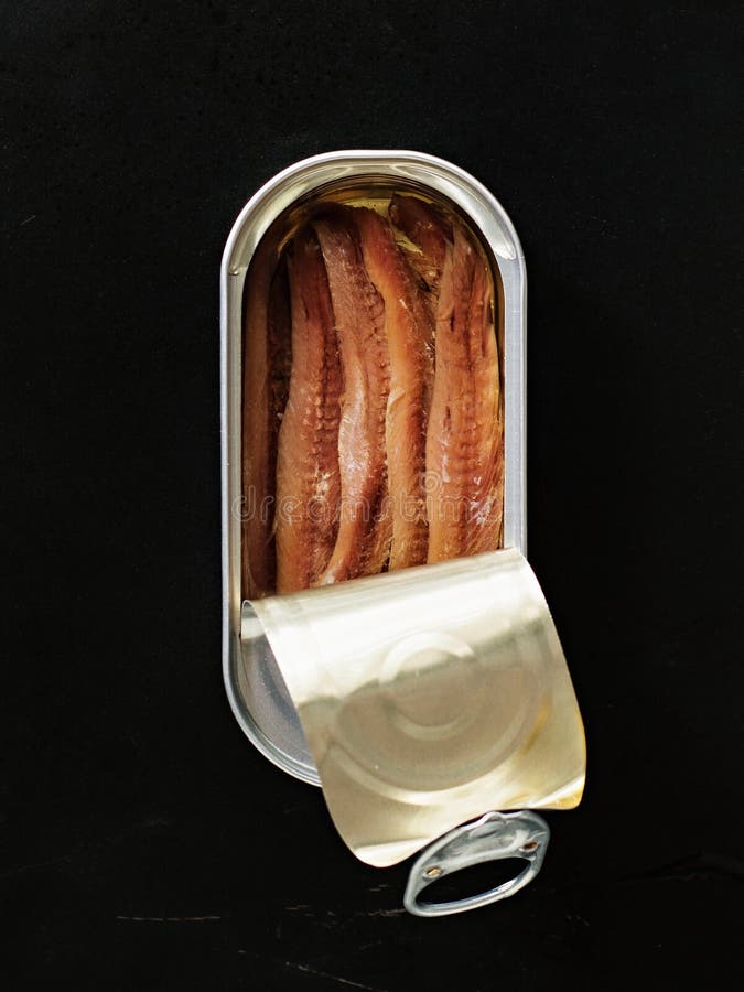Flat Fillets of Anchovies in Can Stock Photo - Image of fish, macro ...