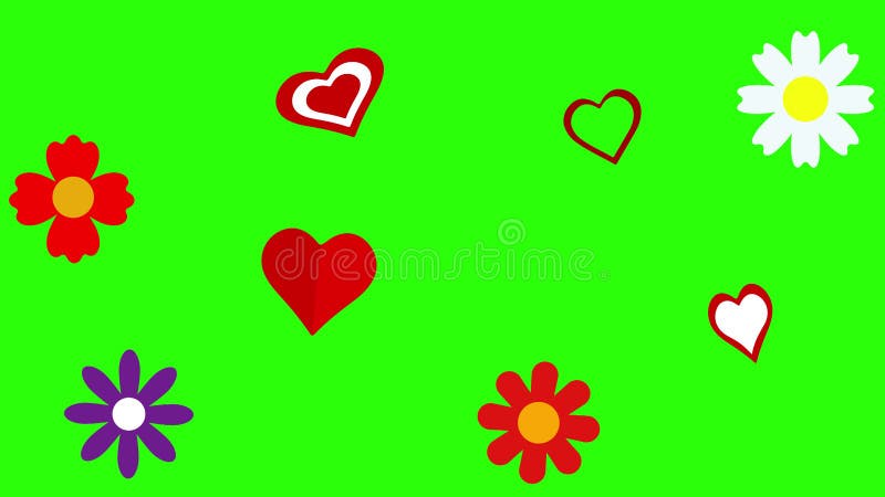 Flat Flowers and Hearts Animation Graphic Elements on Green Screen ...
