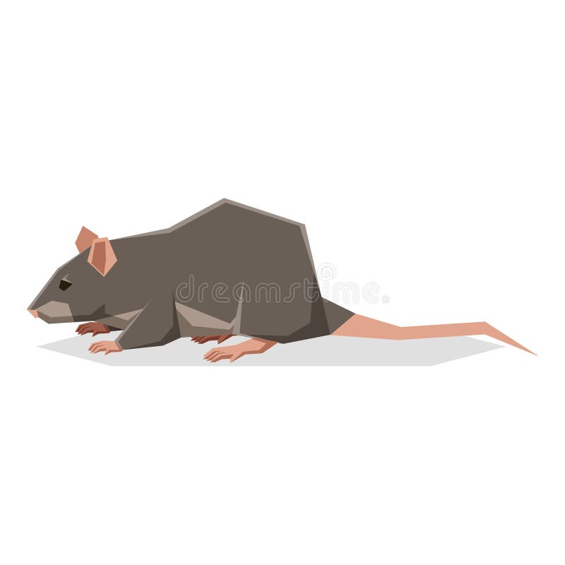 Flat geometric Rat stock vector. Illustration of isolated - 123335220