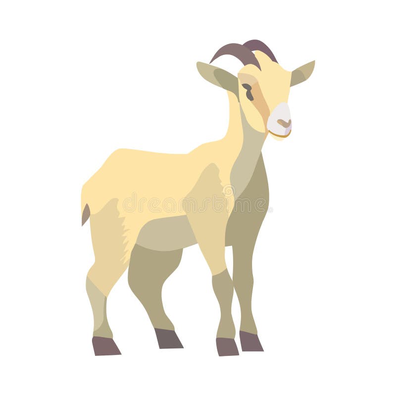 Flat goat illustration stock vector. Illustration of agriculture ...