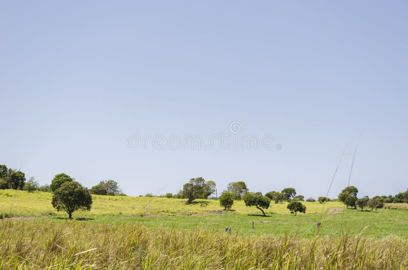 Flat Grassy Landscape stock photo. Image of skyscape - 348580824