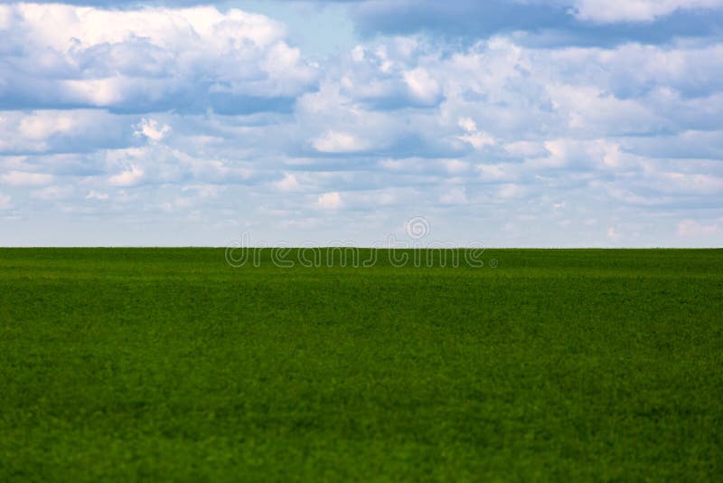 Flat Green Soybean Field with Cloudy Sky and Focus on Background with ...