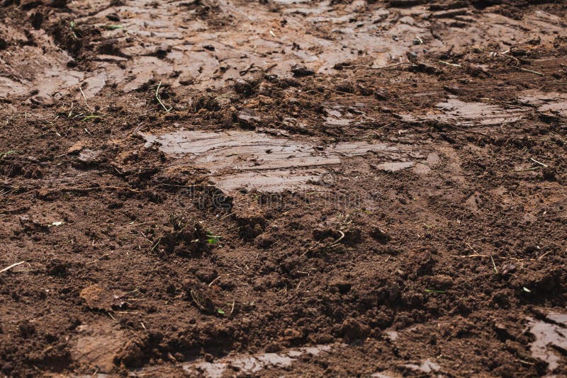 Flat ground from a height stock photo. Image of arctic - 206018254