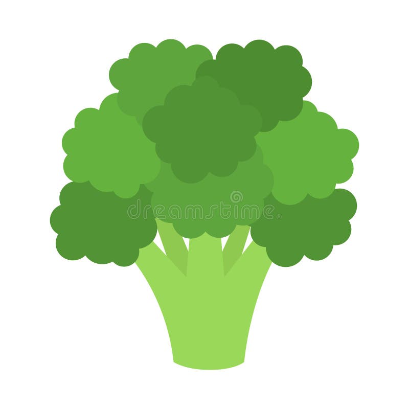 Flat icon broccoli stock vector. Illustration of fresh - 73818062