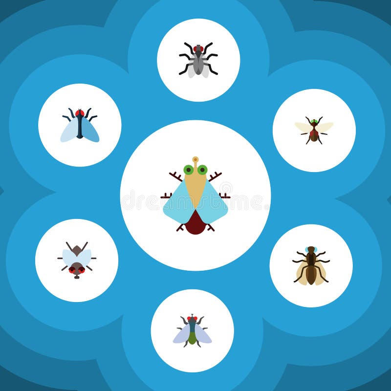Flat Icon Buzz Set of Buzz, Tiny, Housefly and Other Vector Objects ...