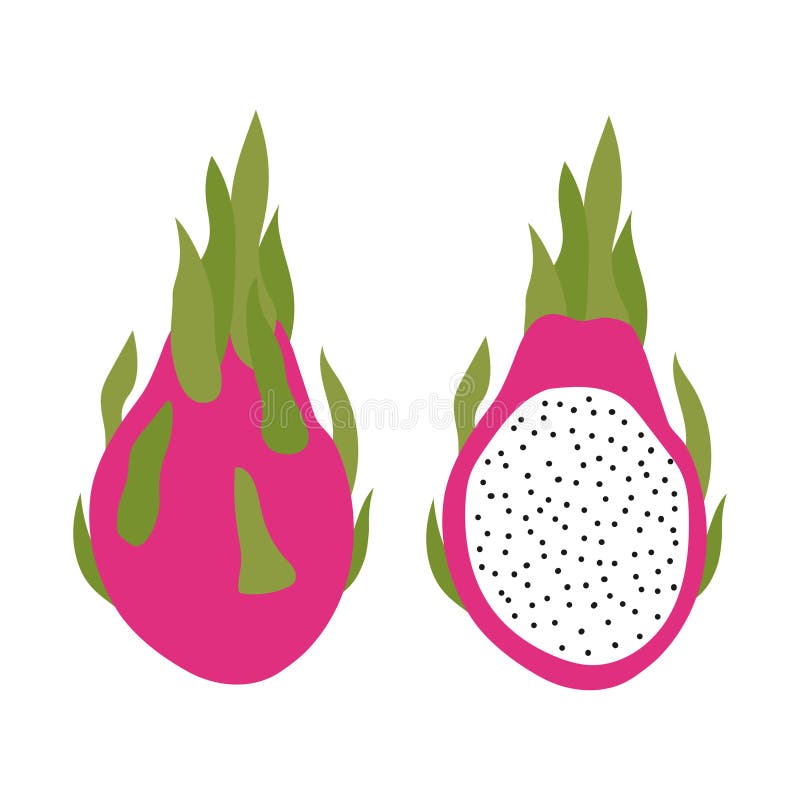Flat icon dragon fruit stock vector. Illustration of juicy - 277402550