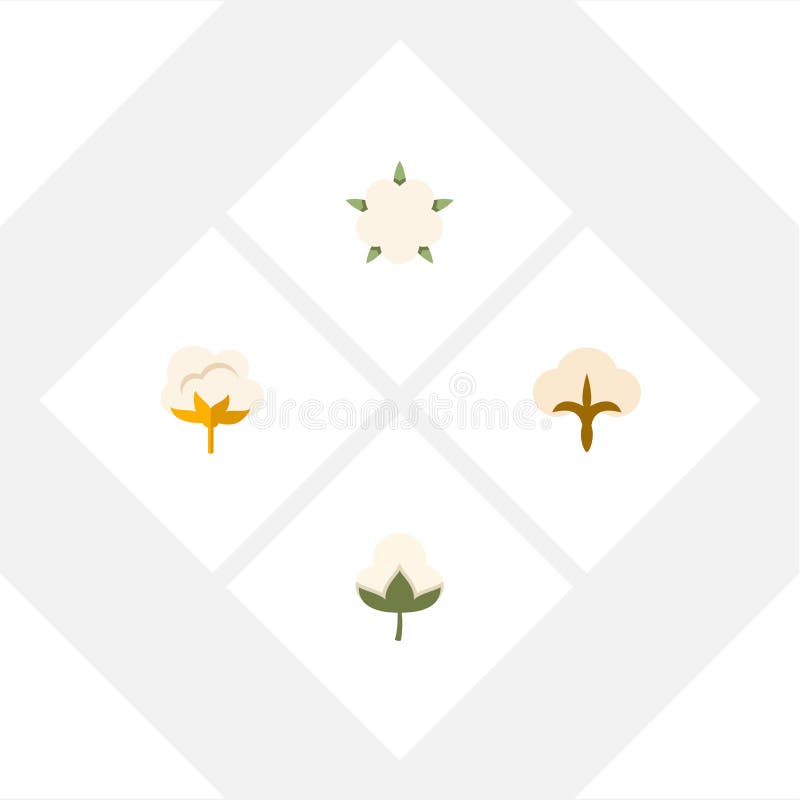 Flat Icon Fiber Set of Flower, Cotton, Fluffy and Other Vector Objects ...