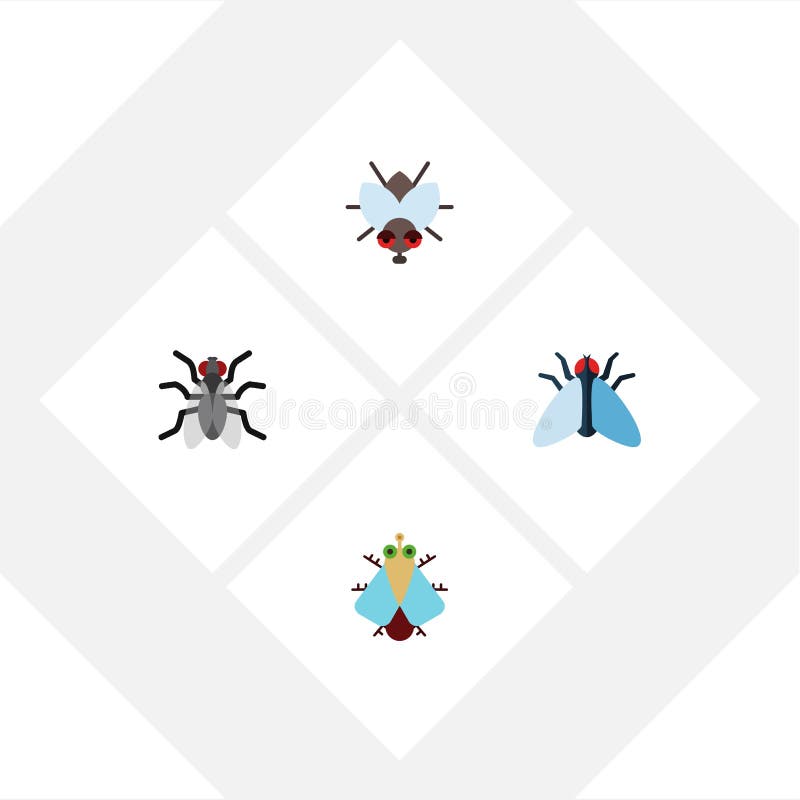 Flat Icon Fly Set of Gnat, Tiny, Housefly and Other Vector Objects ...