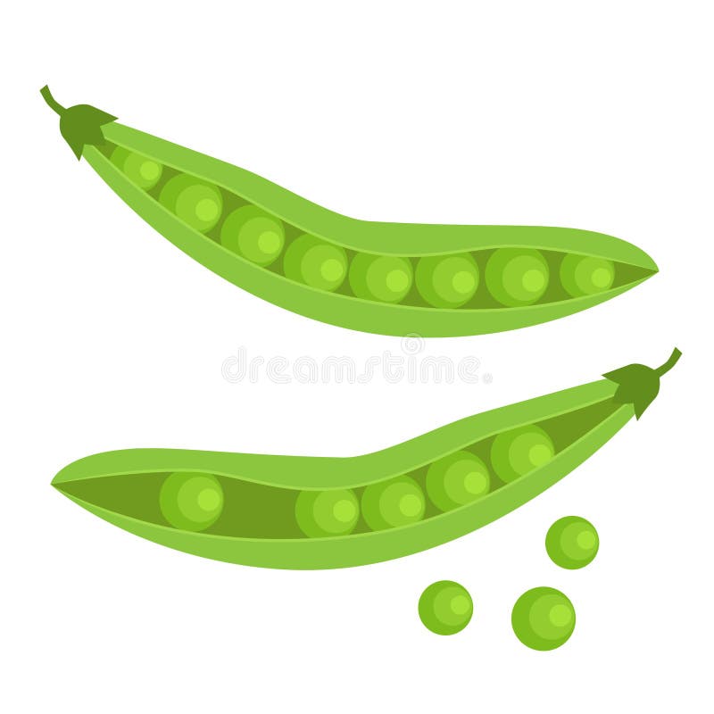 Flat icon green peas stock vector. Illustration of cook - 70459069