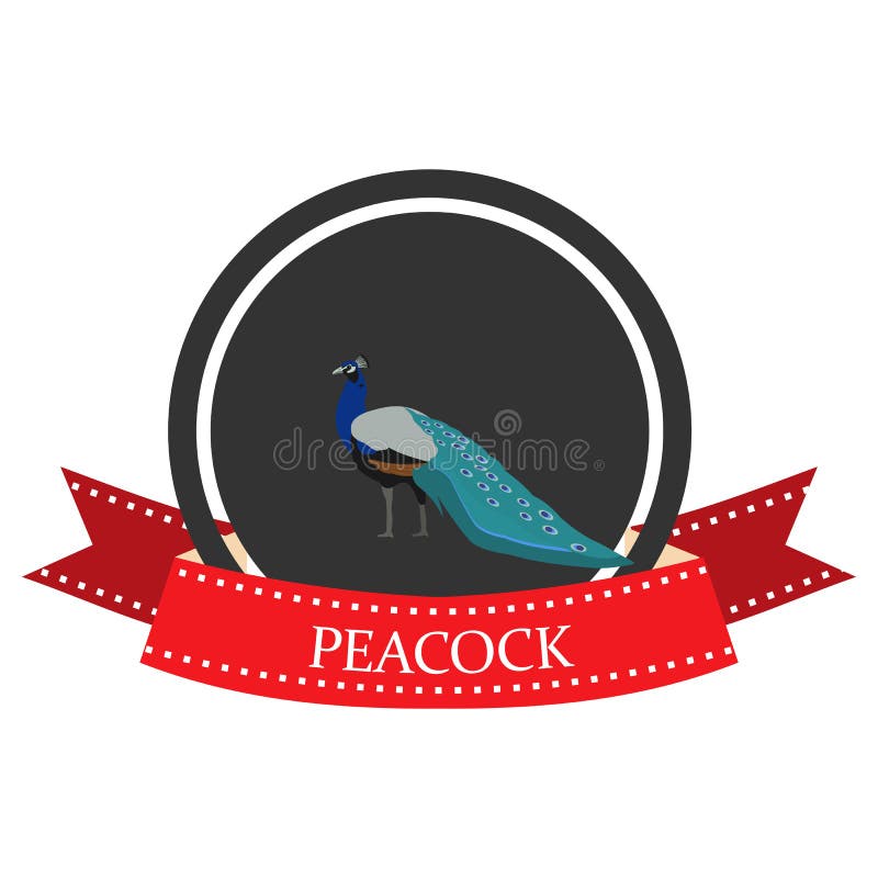 Flat Peacock Animals Logo stock illustration. Illustration of ...