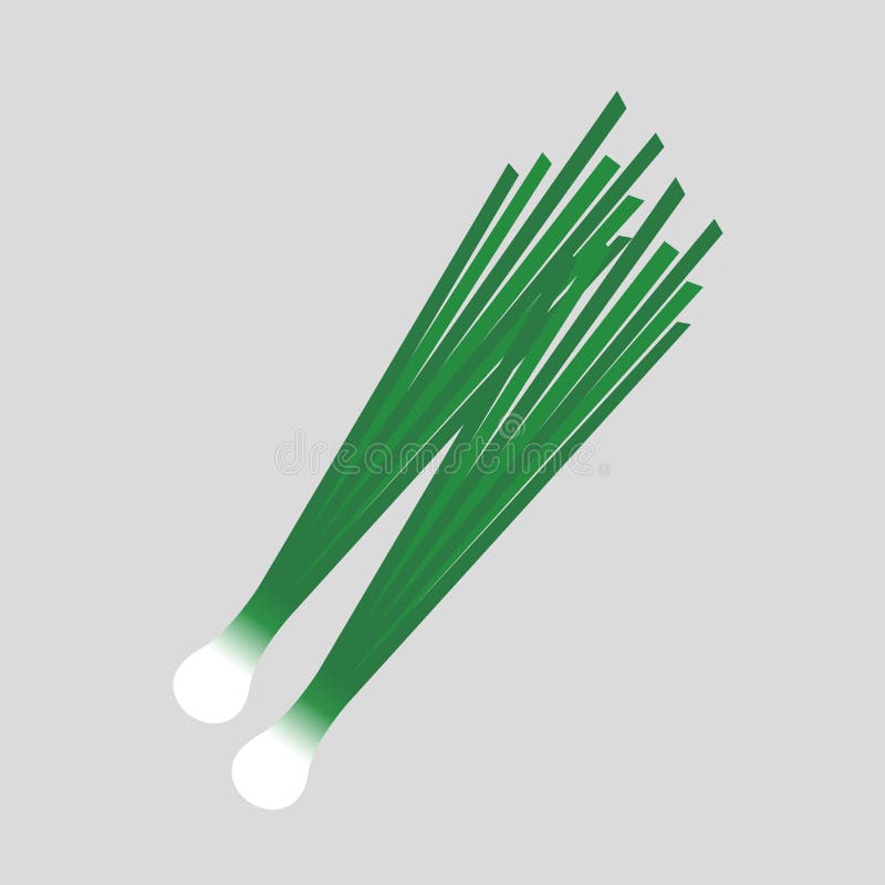 Flat icon spring onions stock vector. Illustration of menu - 112138123