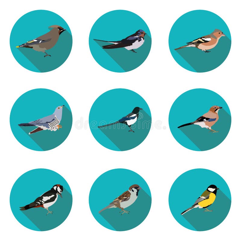 Big set icons - 2. Birds stock vector. Illustration of object - 6253090