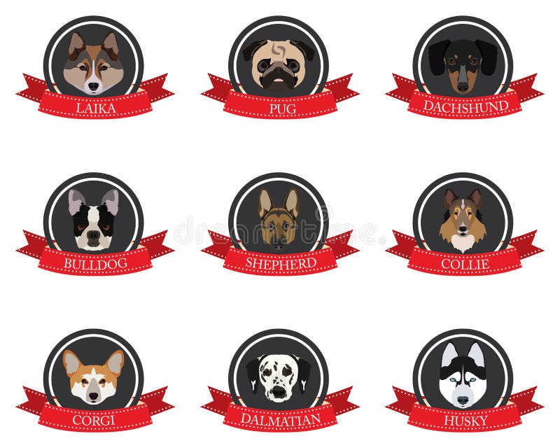 Flat Icons of Pedigree Dogs with the Names Stock Illustration ...