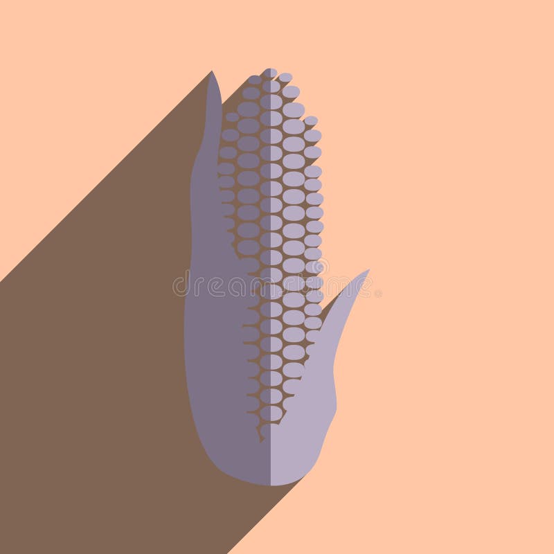 Flat Icons with Shadow of Corn Stock Vector - Illustration of field ...