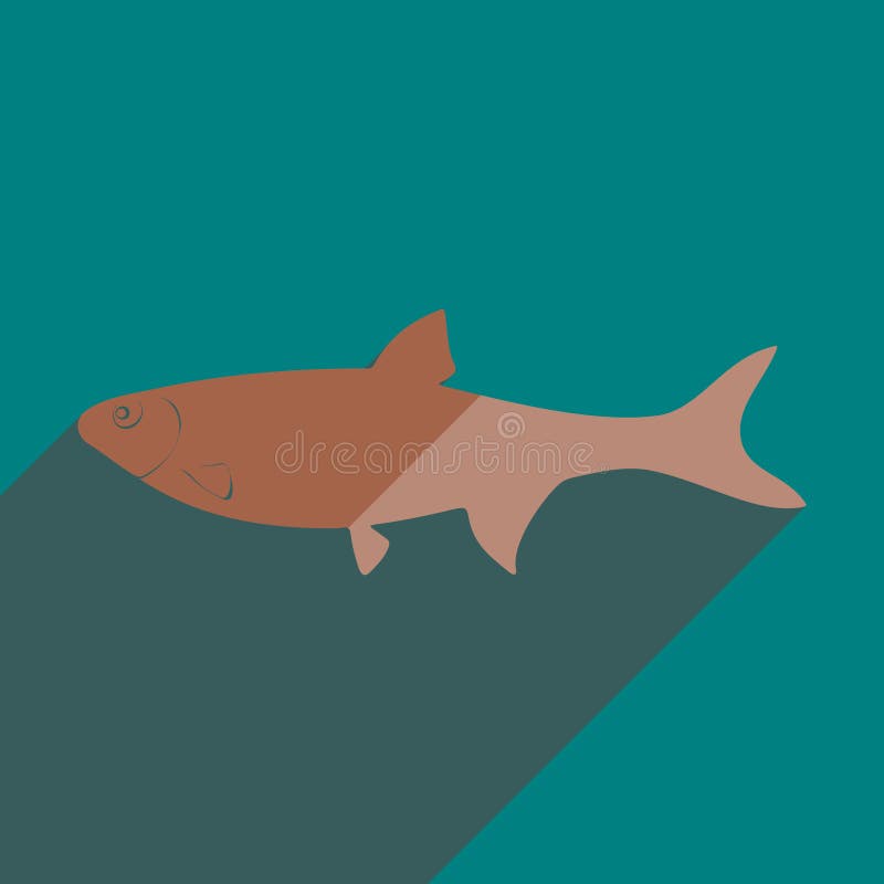 Flat Icons with Shadow of Dace Stock Vector - Illustration of isolated ...