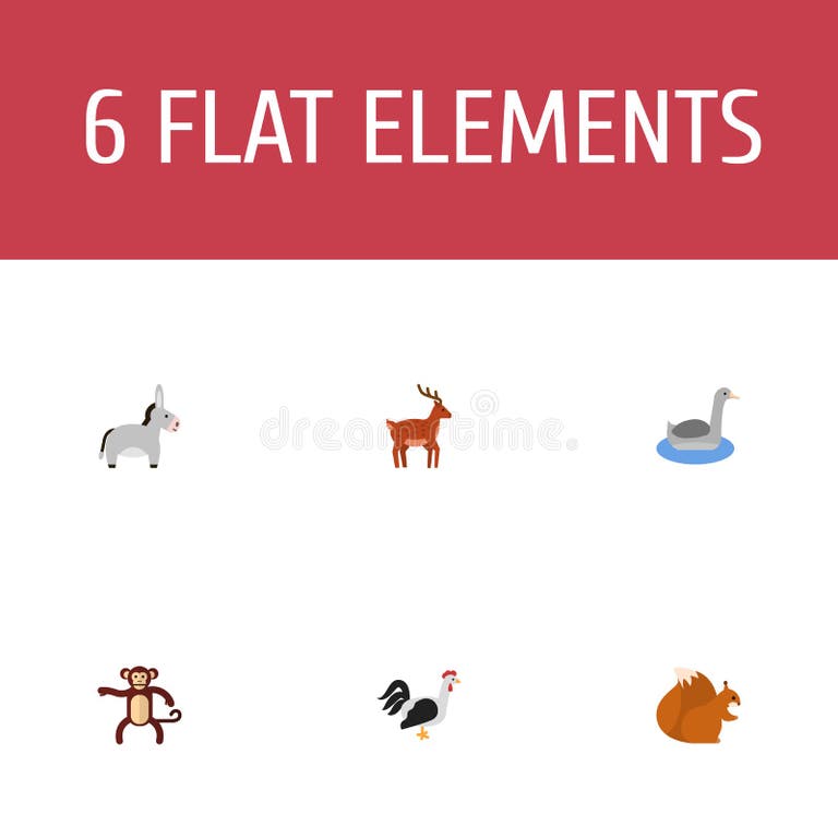 Flat Icons Waterbird, Jackass, Chipmunk and Other Vector Elements ...