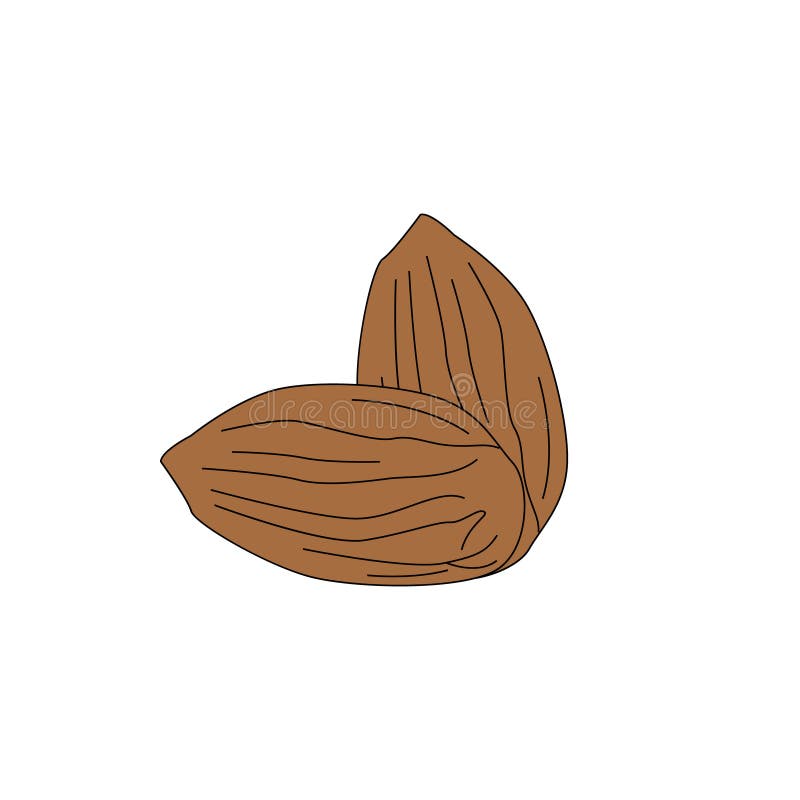 Illustration of Almond Milk in a Bottle with Ribbon and Cookies ...