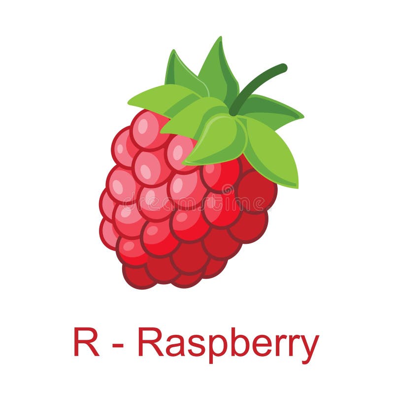 Flat Illustration Alphabet R for Raspberry, Learning for Kids Stock ...