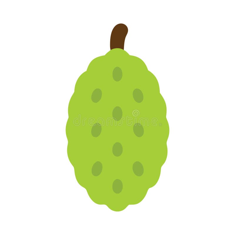 Flat Illustration of Jack Fruit Icon for Web Design Stock Illustration - Illustration of vector ...