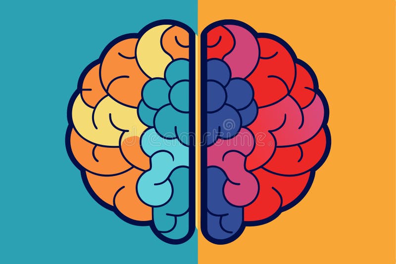 A Flat Illustration Showcasing the Two Distinct Sides of a Brain in ...