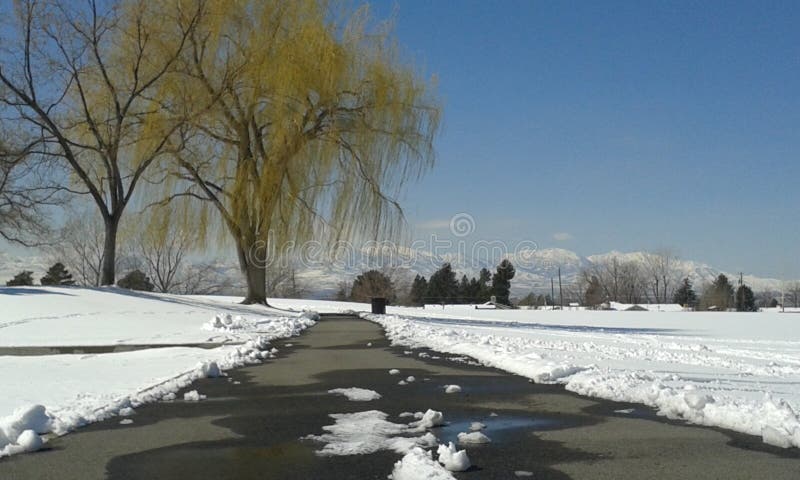 Flat Iron Park editorial photo. Image of frost, branch - 51088431