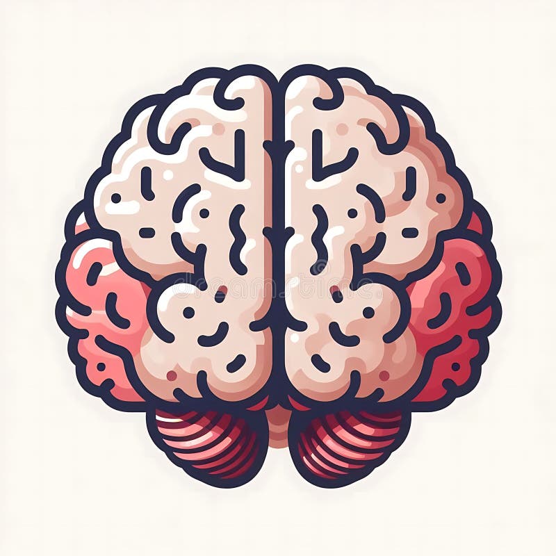 Hemisphere Anatomy Icon Stock Photos - Free & Royalty-Free Stock Photos ...