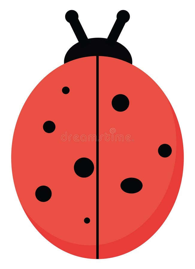 Flat 2d Ladybug, Isolated, Vector Illustration Stock Vector ...