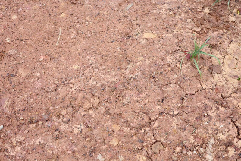 Flat Land, Dry Land, Rural Asia, Abstract Background Stock Photo ...
