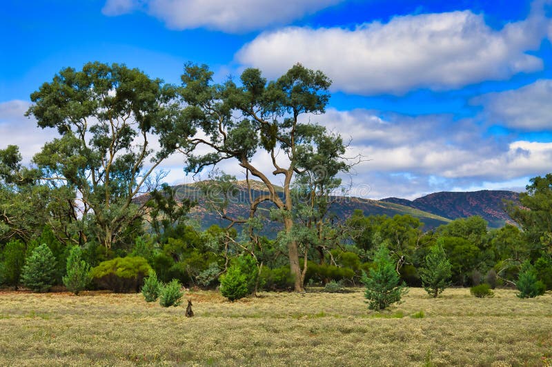 The Flat Land Inside Wilpena Pound, Flinders Ranges, South Australia ...