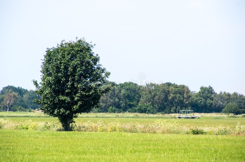 Flat Land Tree stock photo. Image of countryside, space - 189084360