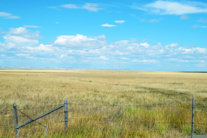 Flat Lands and Open Fields in Montana. Stock Photo - Image of barren ...