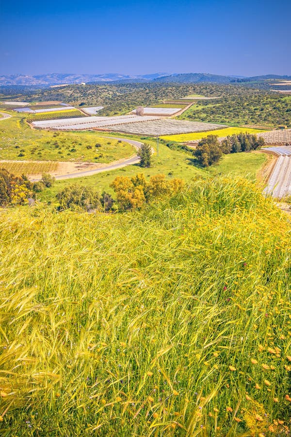 Yakima Valley stock photo. Image of land, agriculture - 6856838