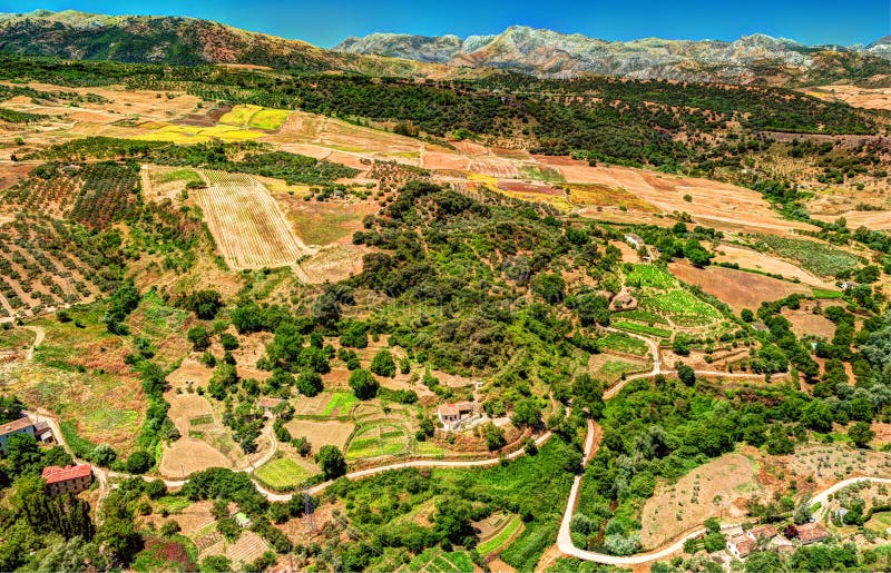 Flat Lay, Aerial Top View of a Landscape Stock Photo - Image of ...