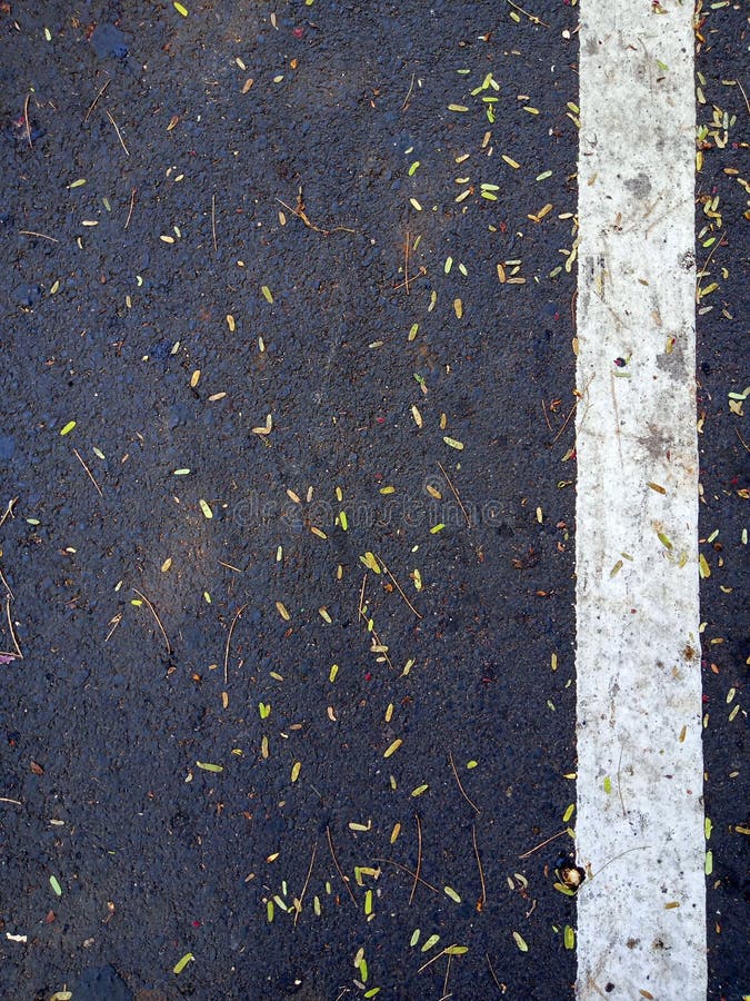 Flat Lay Asphalt Road with White Line Stock Image - Image of textured ...