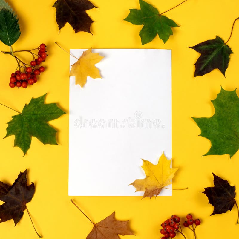 Flat Lay Autumn Fallen Leaves on a Yellow Background with White Blank ...