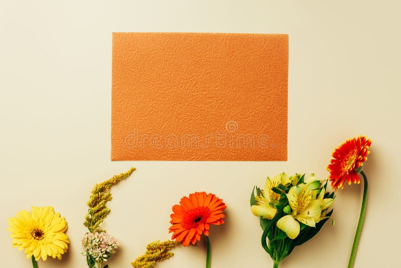 Flat Lay with Beautiful Flowers and Empty Orange Card Arrangement Stock ...